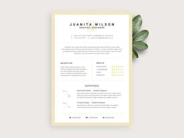 Free Elegant Resume Template with Stylish Design