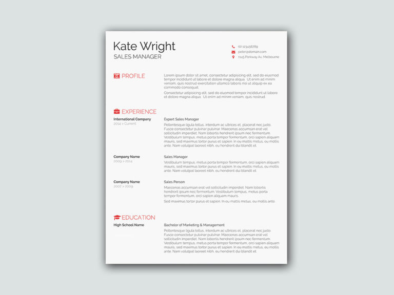 Free Smart Minimalist Resume Template for Best Impression