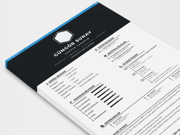 Aman Resume - Free Professional CV/Resume Template with Creative Look