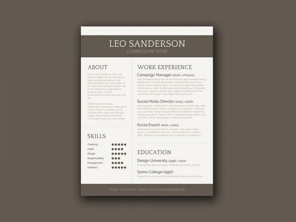 Free Conservative CV Template with Creative Design