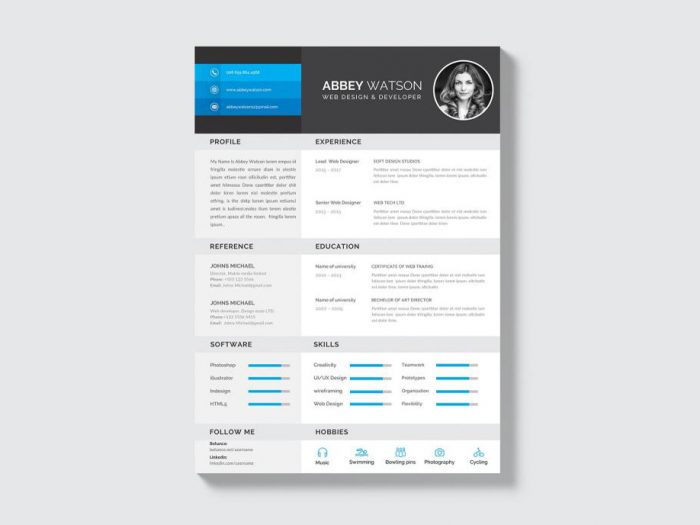 Free 5 Colors Resume Template for Any Job Opportunity