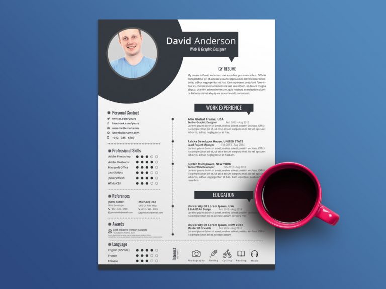 Free Fresh Modern Resume template for Job Seeker
