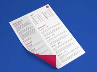 Free Three Pages CV Template for any Job Opportunity