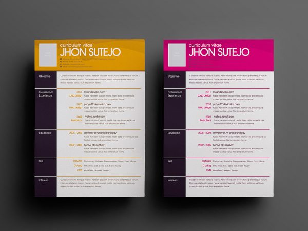 Free Girl Resume Template with Feminine Look