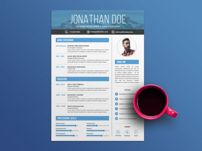 Free Creative Professional CV Template for Job Seeker