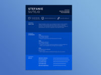 Free Corel Draw Resume Template in CDR File format