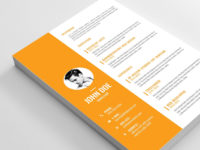 Free Three Pages CV Template for any Job Opportunity