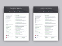 Free Corel Draw Resume Template in CDR File format