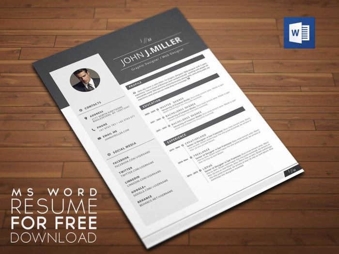Free Professional Word Resume Template