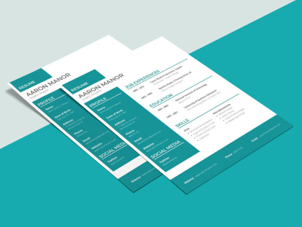 Free Modern Designer CV Template with Professional Layout
