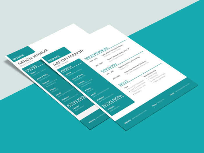 Free Modern Designer CV Template with Professional Layout
