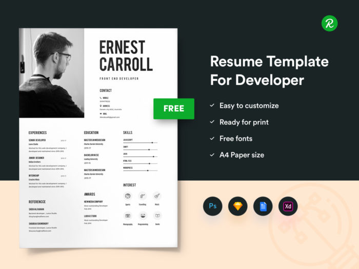 Free Developers Resume Resume Template with Simple Look