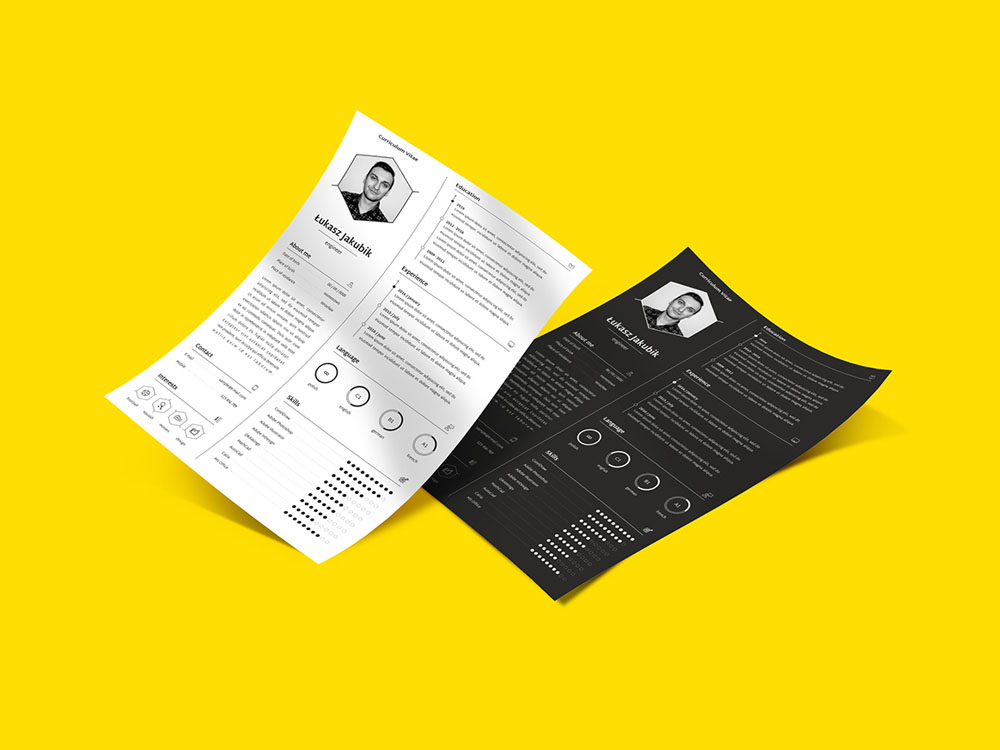 Free Corel Draw Resume Template for Job Seeker