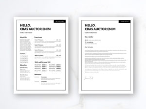 Free Engineering CV/Resume Template with Modern and Professional Look