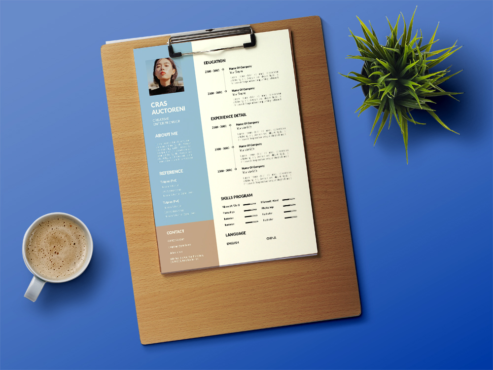 Free Flat Timeline CV Template for Job Seeker