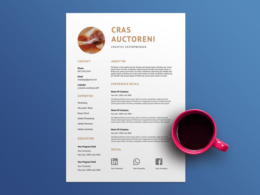 Free Creative Chocolate Resume Template for Job Seeker