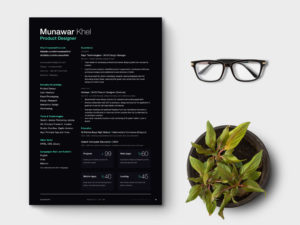 Free Split Style Resume Template