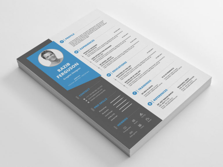 Free Visual Designer Resume Template for Job Seeker
