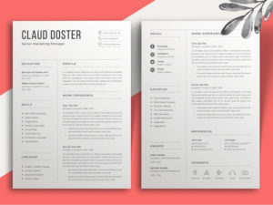 Free Three Pages CV Template for any Job Opportunity