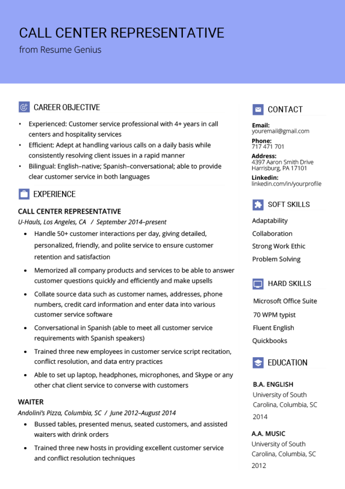 Free Call Center Resume Template with Simple and Elegant Look