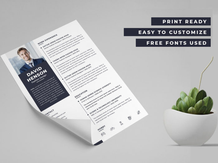 David Resume - Free Clean and Minimal PSD Resume Template