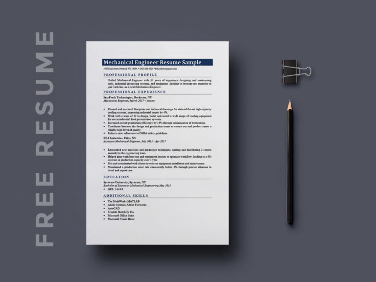 Free Infographic Indesign Resume Template with Cover Letter Page
