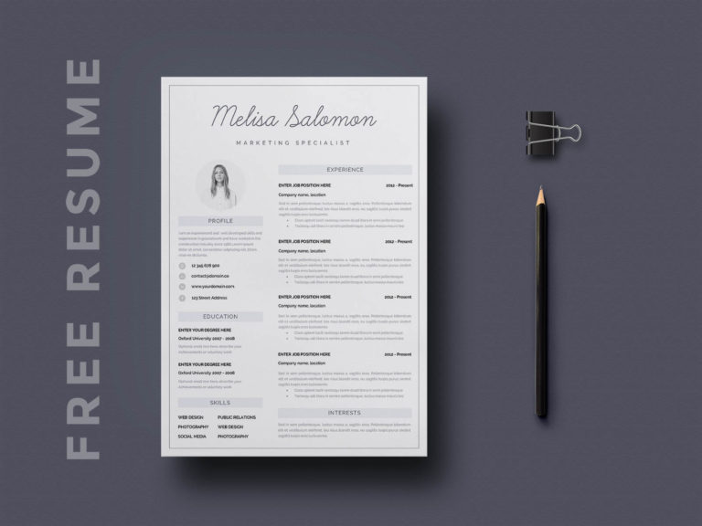 Juan Resume - Free Flat Infographic Resume Template