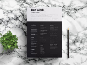 Aman Resume - Free Professional CV/Resume Template with Creative Look