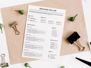 Alex Resume Template - Free MS Word Resume Template with Cover letter Page