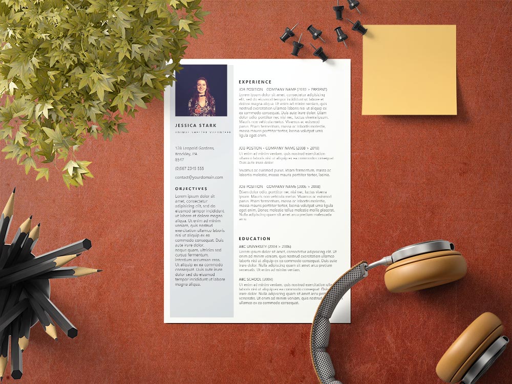 Free Animal Shelter Volunteer Resume Template With Professional Look