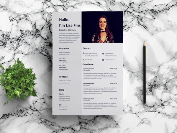 Free Executive Secretary Resume Template for Job Seeker