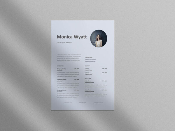 Free Stylish Timeline Resume Template