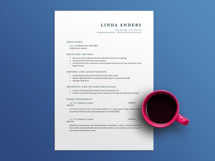 Free Corel Draw CV/Resume Template with Clean Look