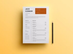 Free Split Style Resume Template