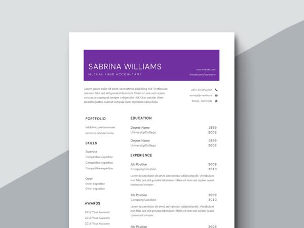 Free Mutual Fund Accountant Resume Template with Example