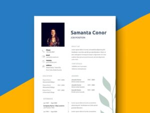 Free Chief Executive Officer (CEO) Resume Template with Simple Look