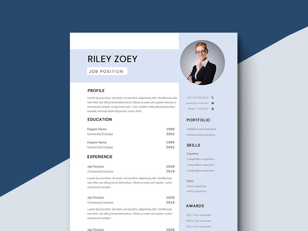Free Document Controller Resume Example Template for Your Job Opportunity