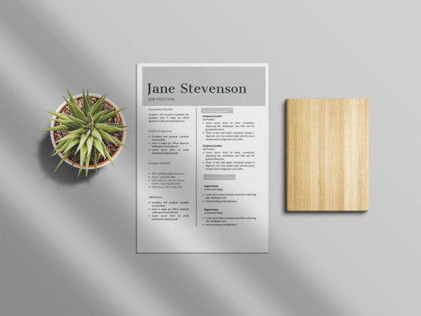 Free Simple Timeline Resume in Indesign Format