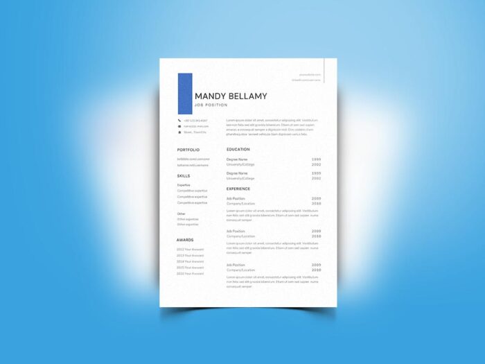 Free Assistant Coordinator Resume Template with Example for Job Seeker