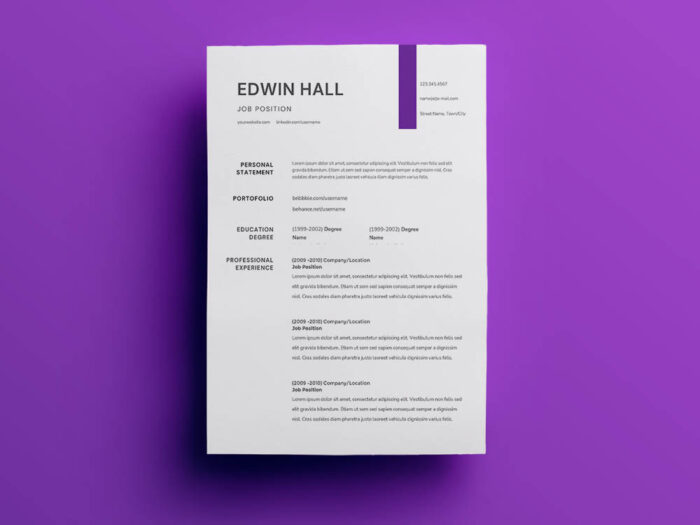 Free Corel Draw Resume Template in CDR File format