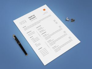 Jason Resume - Free Simple Resume Template In Illustrator Format