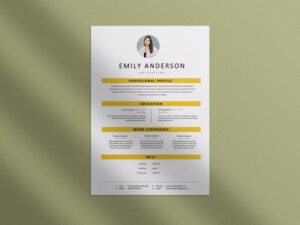 Free Cool CV Resume Template with 3 Different Color Options