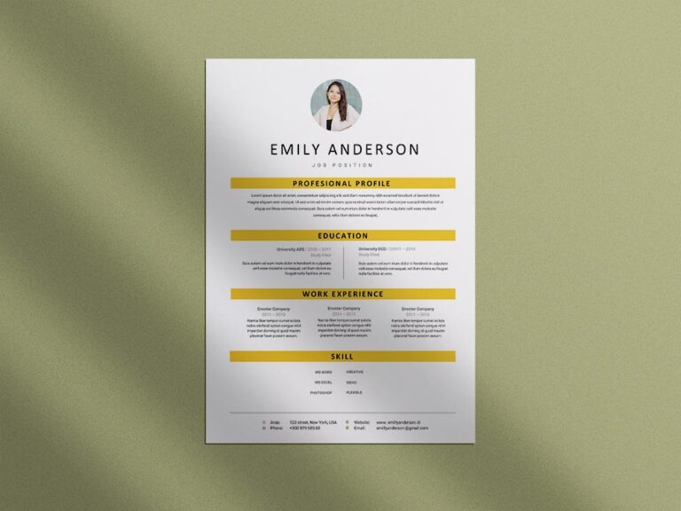 Free Cool CV Resume Template with 3 Different Color Options
