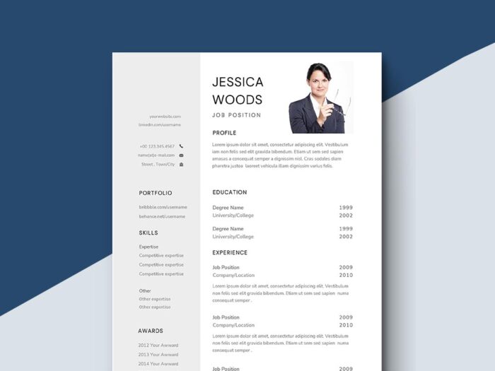 Snow Resume - Free Clean Resume template with Professional Design