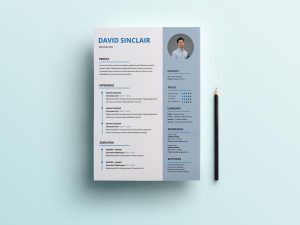Free Three Pages Resume Template (ID, AI, PSD, DOCX)